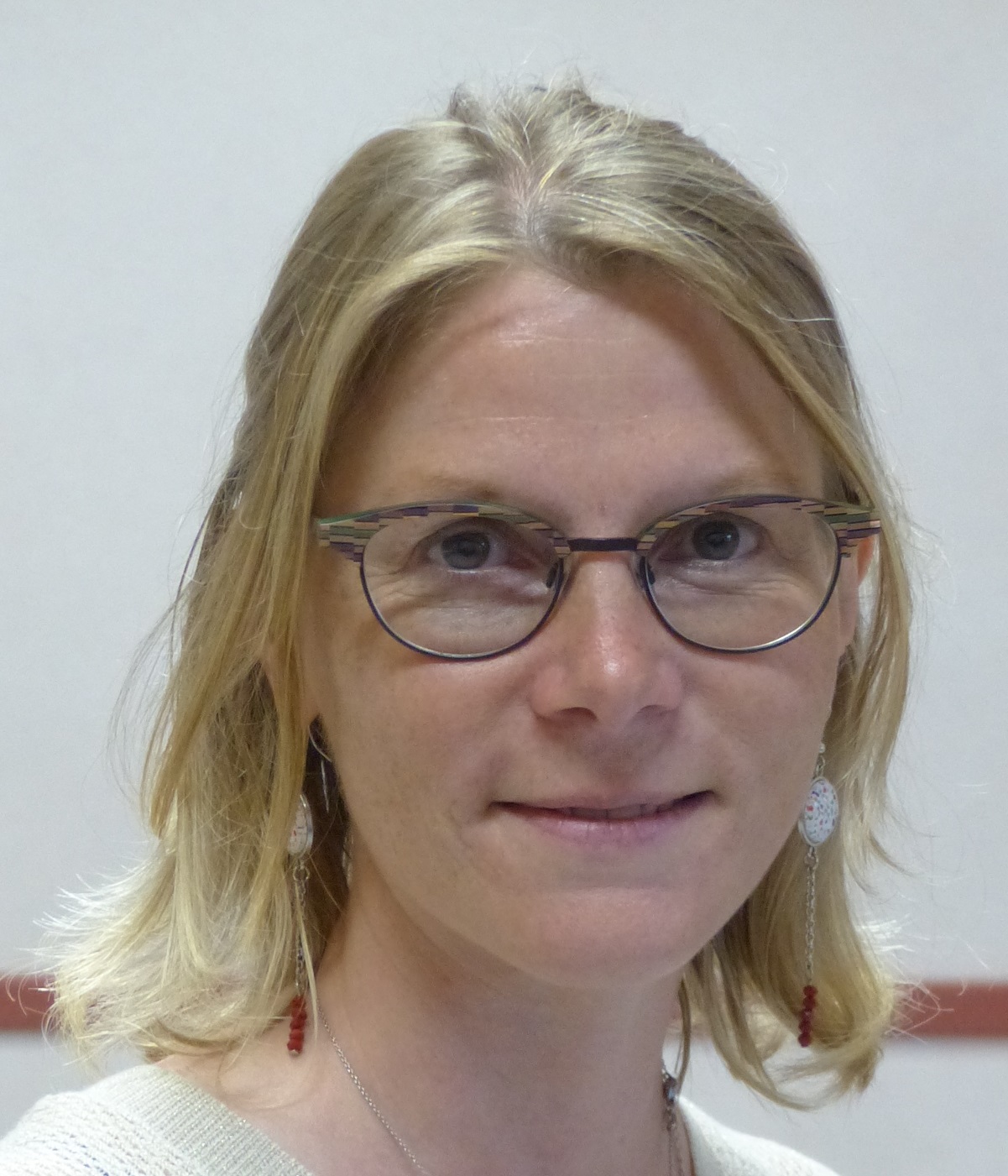 Conseil municipal (élection du 23 mai 2020)